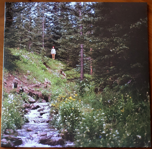 David Lord - Forest Standards Vol. 3 LP – Grapefruit Records